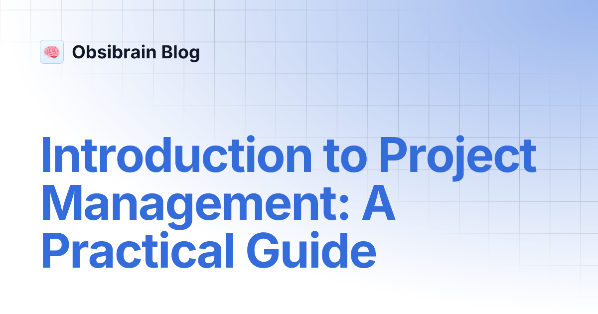 Introduction to Project Management: A Practical Guide | Obsibrain Blog